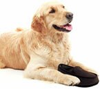 Active Comfort Slippers - Our Point of Difference -Smartdogs Comfort ...